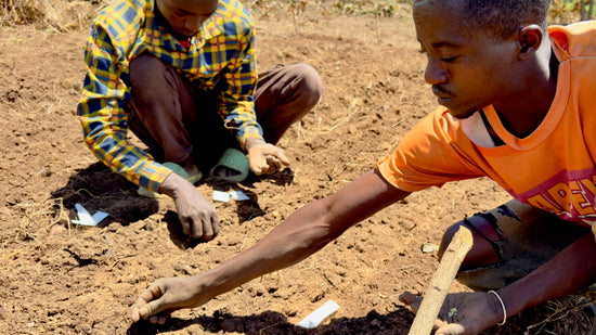 Seed To Sauce | Chilli Mash Co. | Ethical, Traceable Chilli Production